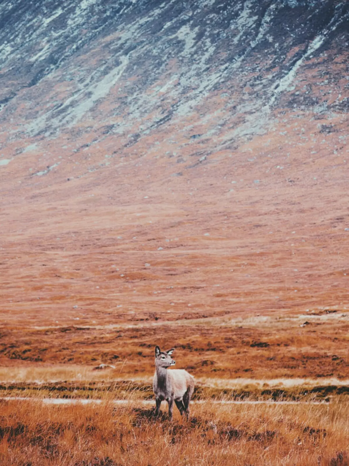 Chilengedwe komanso mwapadera kwa mphindi zachilengedwe kuchokera ku Daniel Casson (Daniel Casson) 10882_7