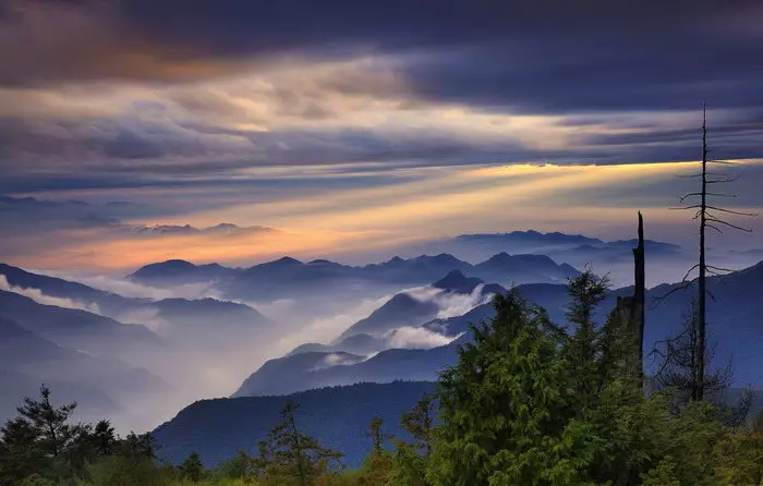 In jeder Schnappschuss ein Stück Morgen Nebel ... Taiwanesischer Fotograf Thunderbolt 10992_16