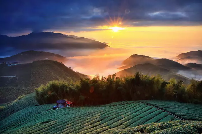 In jeder Schnappschuss ein Stück Morgen Nebel ... Taiwanesischer Fotograf Thunderbolt 10992_8