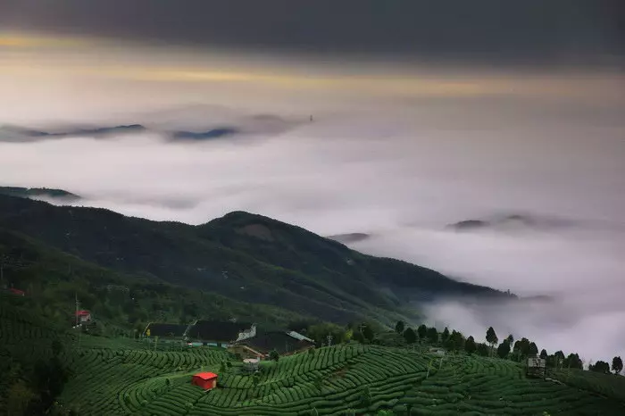 In jeder Schnappschuss ein Stück Morgen Nebel ... Taiwanesischer Fotograf Thunderbolt 10992_9