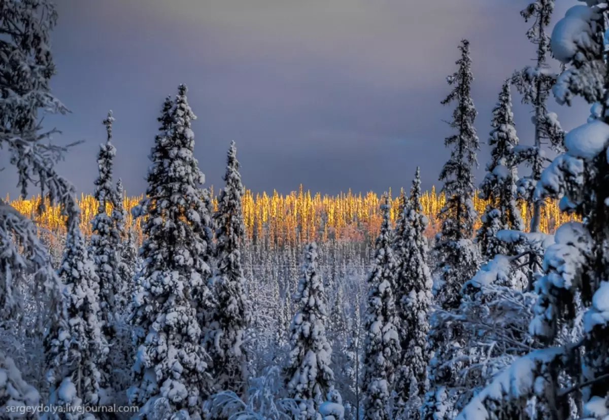 Krasota-sozdannaya-prirodoj-kolskogo-poluostrova-fotograf-sergejus-dolya-sergejus-dolya-38-foto