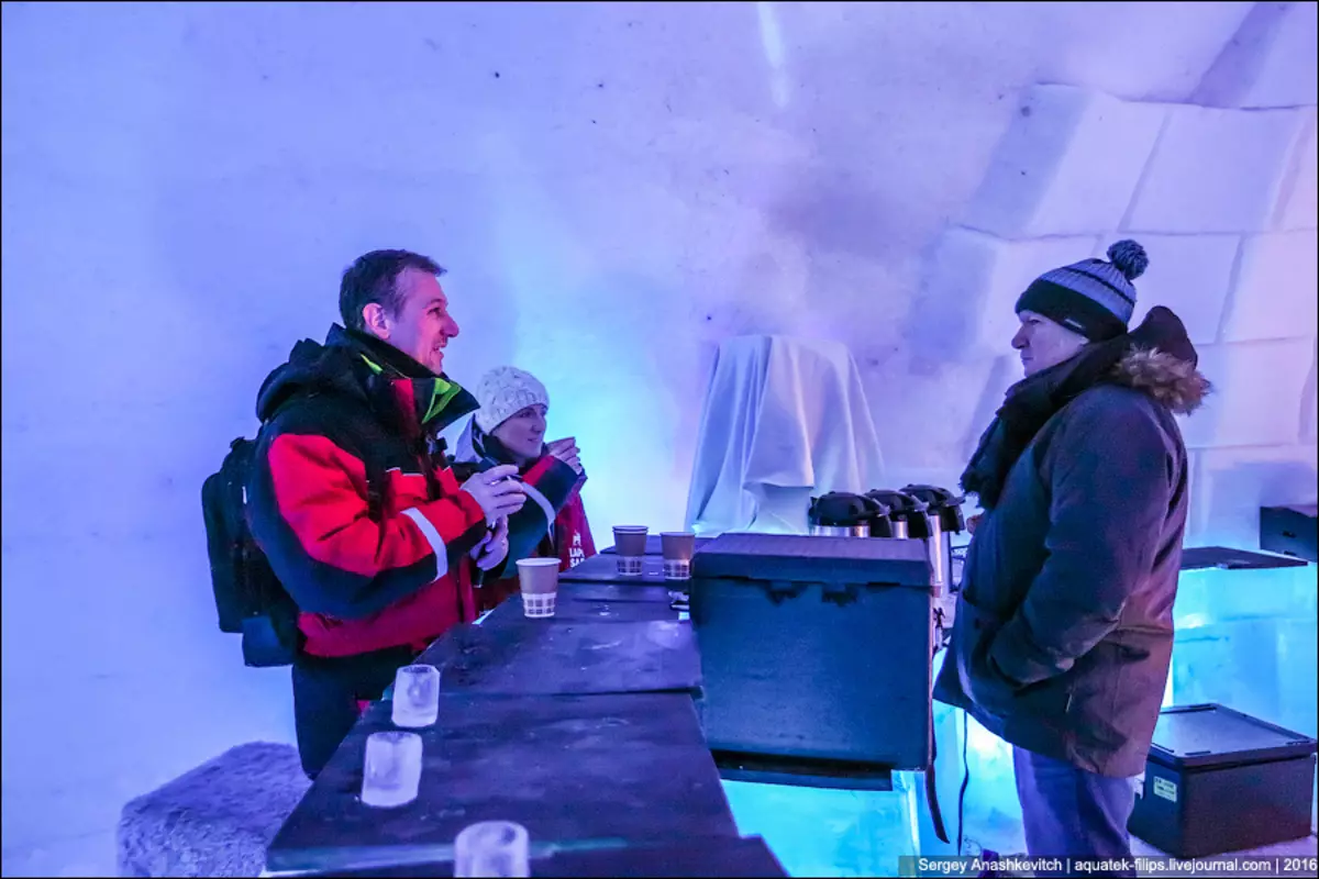 Por una noche en la era de hielo