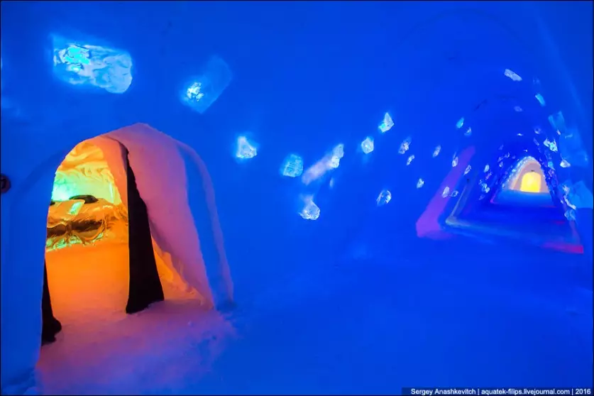 Glacial Dönem'de bir gece için ... Fotoğrafçı Sergey Anashkevich 11058_5