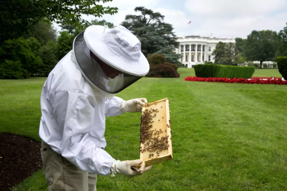 Najlepšie fotografie amerického prezidenta a jeho rodiny za rok 2015. Fotograf pete souza (pete souza) 11120_12