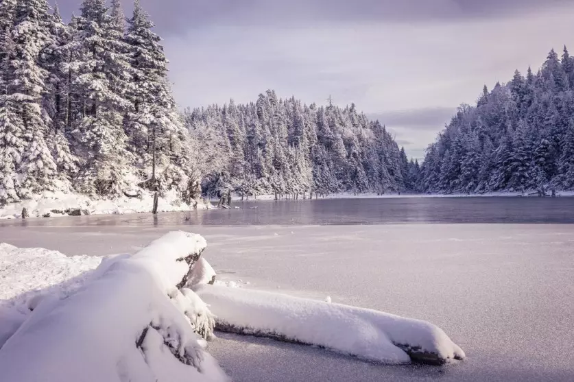 Od ovih fotografija doslovno puše frosty svježinu !!! 11163_10