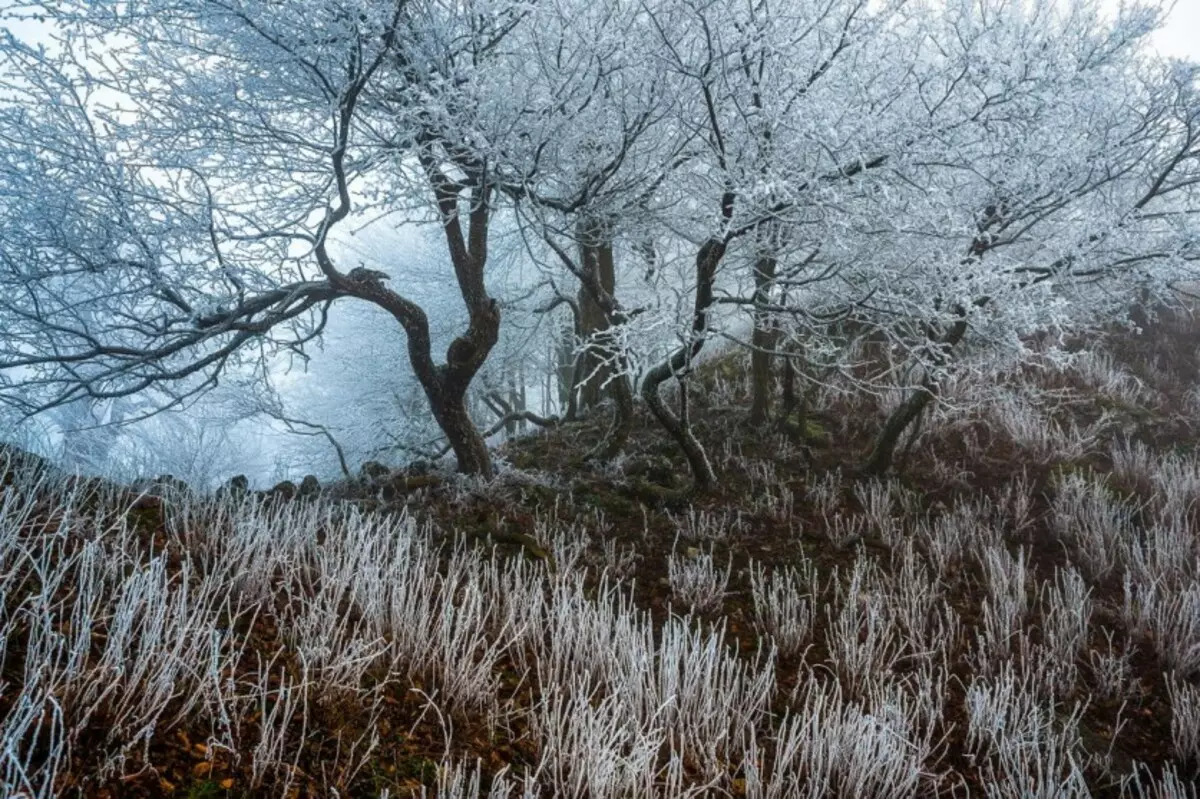 Nga këto foto fjalë për fjalë fryn freskët Frosty !!! 11163_12