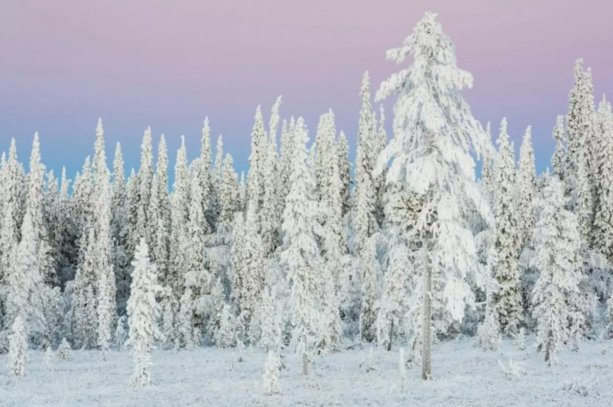 Od ovih fotografija doslovno puše frosty svježinu !!! 11163_16