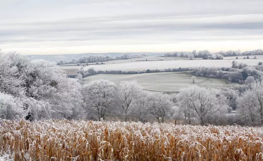 Nga këto foto fjalë për fjalë fryn freskët Frosty !!! 11163_7