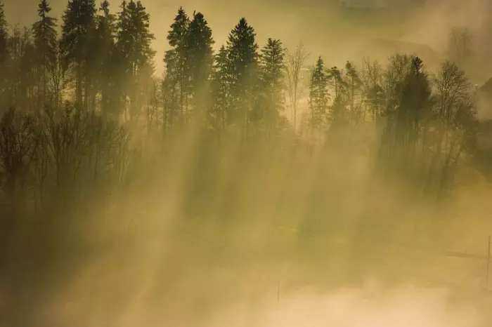 Mga Magic Frame sa Slovenia sa Dawn gikan sa Philip Eremita (Filip Eremema) 11197_14