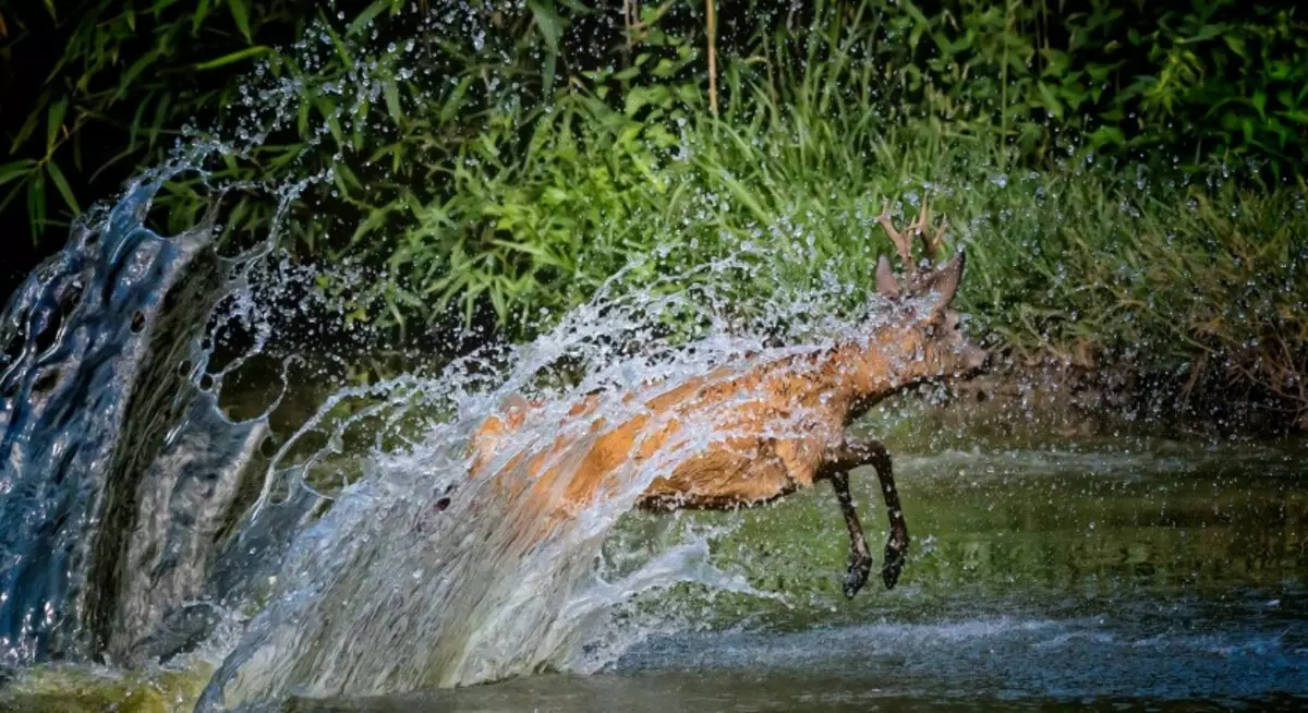 যখন তারা splashes অনুপ্রাণিত;)) অনুপ্রাণিত! 11288_18