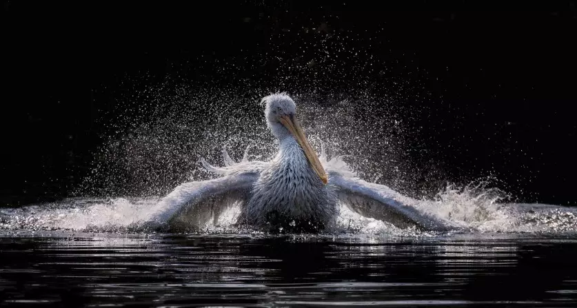 যখন তারা splashes অনুপ্রাণিত;)) অনুপ্রাণিত! 11288_4