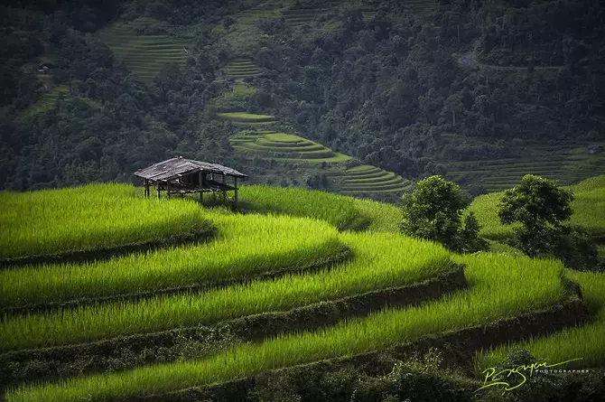 ความงามของเวียดนามในเลนส์ Nguyen Wu Fuoc (Nguyen Vu Phuoc) 11463_10