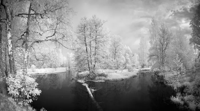 Iwwerraschend, schéin an ongewéinlech;)) Infrared Natur aus Andrei Ermolaeva 11485_14