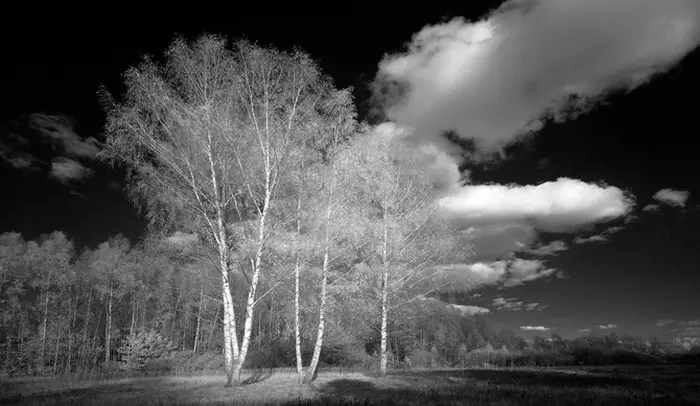 Iwwerraschend, schéin an ongewéinlech;)) Infrared Natur aus Andrei Ermolaeva 11485_15