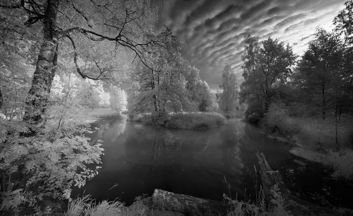 Iwwerraschend, schéin an ongewéinlech;)) Infrared Natur aus Andrei Ermolaeva 11485_16