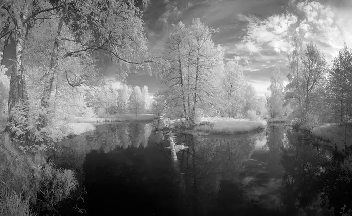 Iwwerraschend, schéin an ongewéinlech;)) Infrared Natur aus Andrei Ermolaeva 11485_17