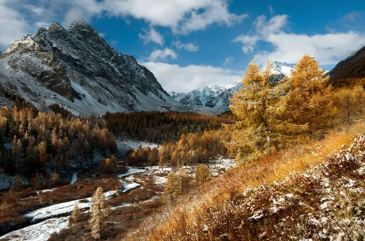 ئىلھام ۋە ساياھەت! AUTUMN Altai نىڭ سېھىرلىك مەنزىرىلىرى 11546_21