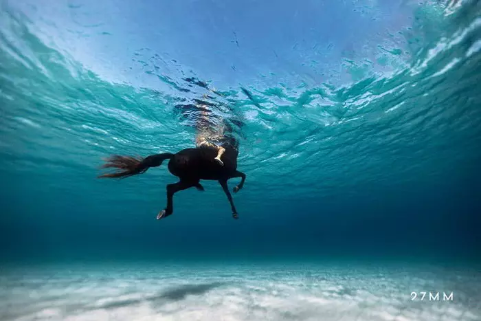 Underwater Photos Enrica Adrian Gener (Enric Adrian Gener) 11607_4