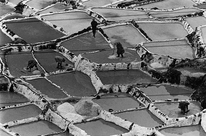 Ensayo de fotos clásico en blanco y negro Tomasz Gudzowaty (Tomasz Gudzowaty) 11662_8