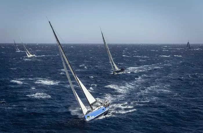 Angerdd môr o ffotograffydd Marinist Kurt Arrigo (Kurt Arrigo) 11750_12