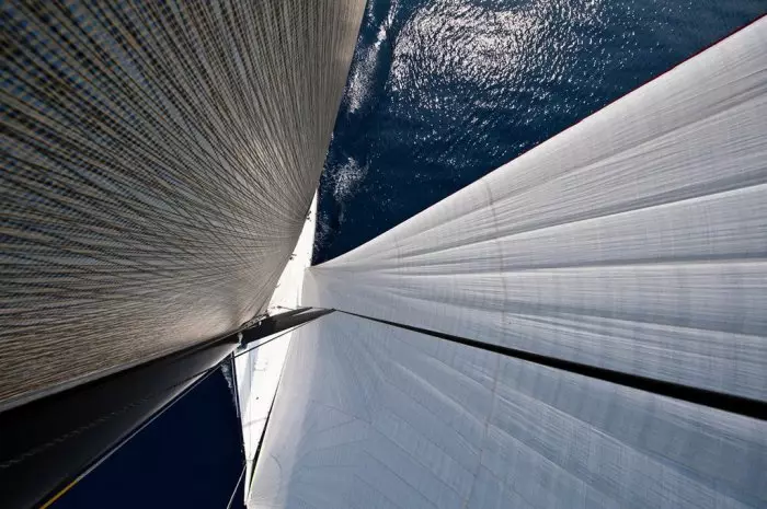 Angerdd môr o ffotograffydd Marinist Kurt Arrigo (Kurt Arrigo) 11750_14