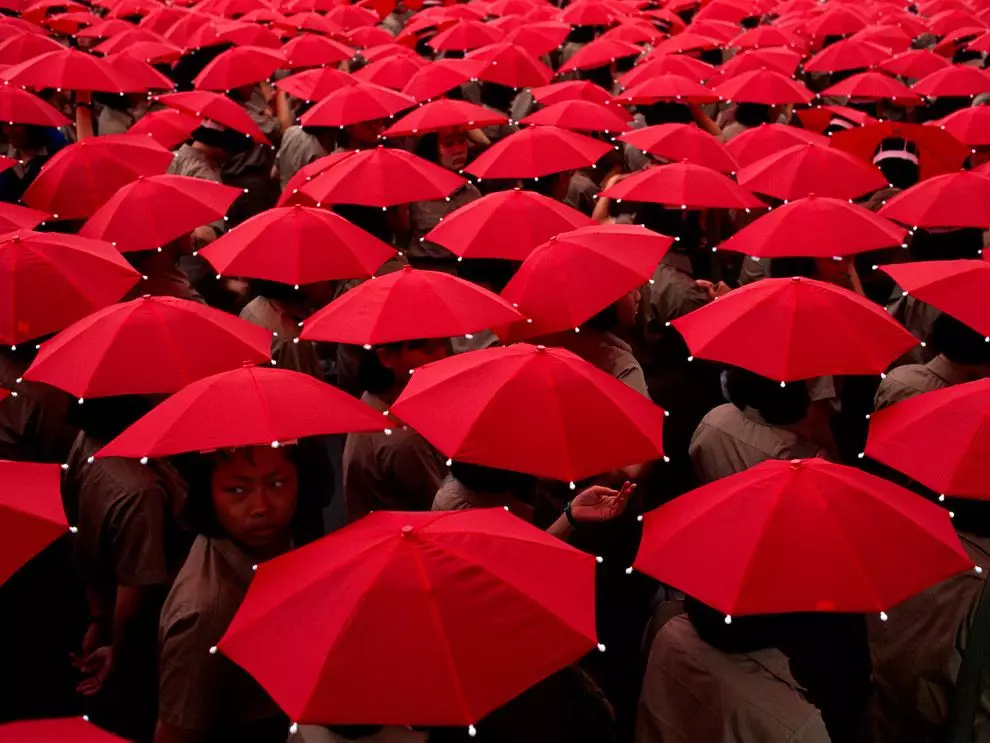 Vida en color: rojo.