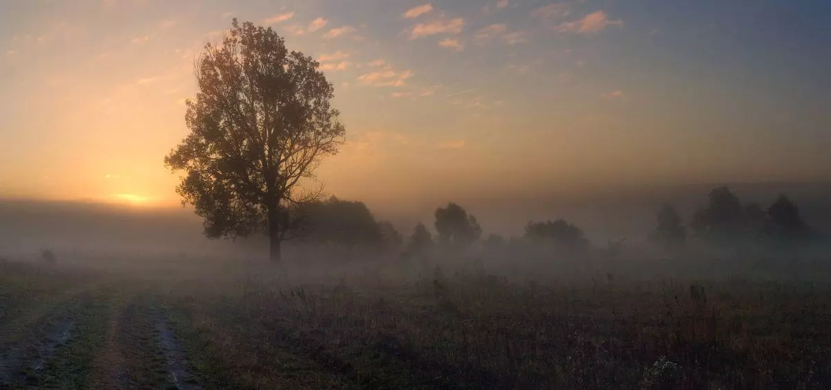 Ademhaling van de natuur