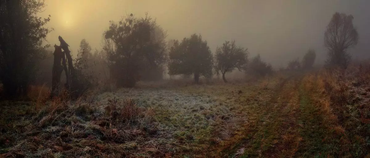 Ademhaling van de natuur