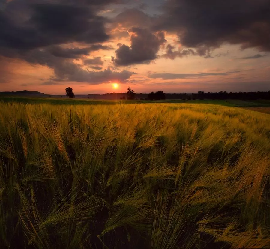 Ademhaling van de natuur