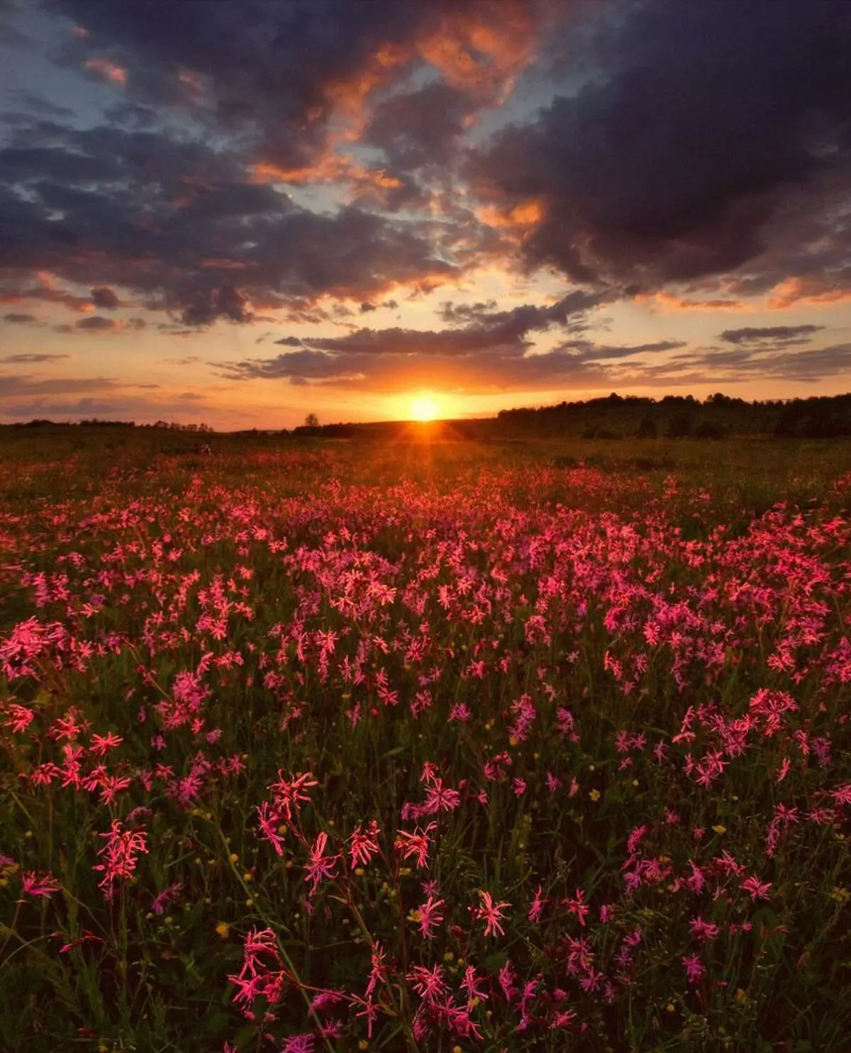 Ademhaling van de natuur