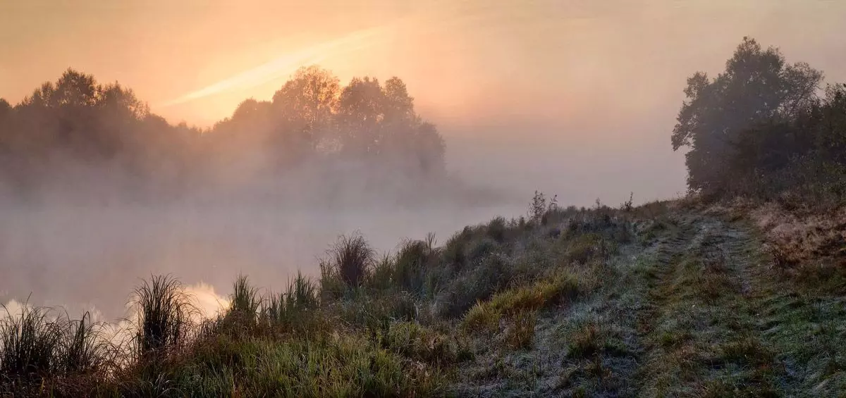 Ademhaling van de natuur