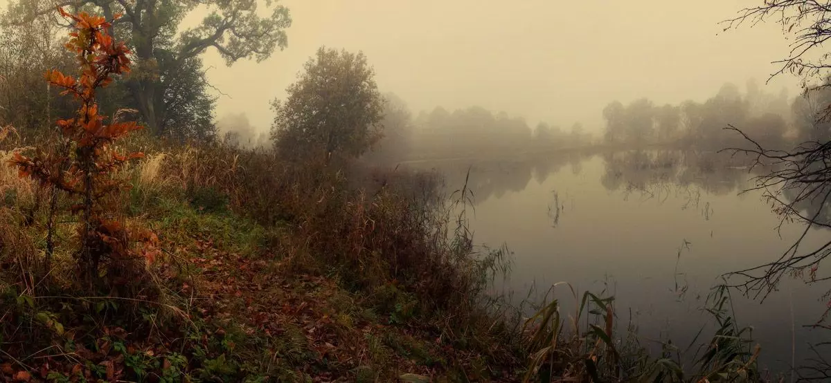 Ademhaling van de natuur