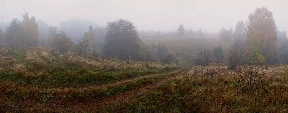 Ademhaling van de natuur