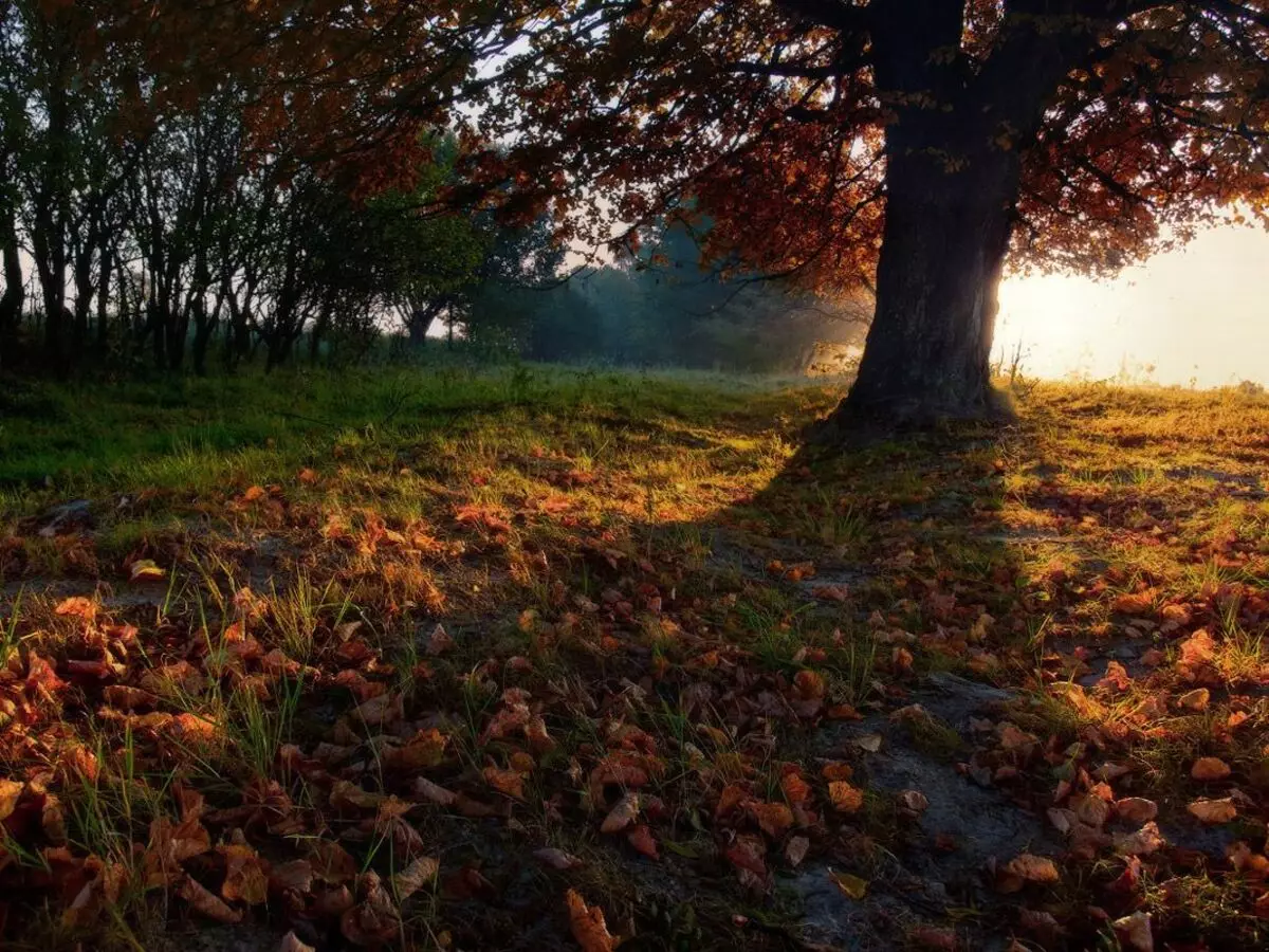 Asemhaling van die natuur