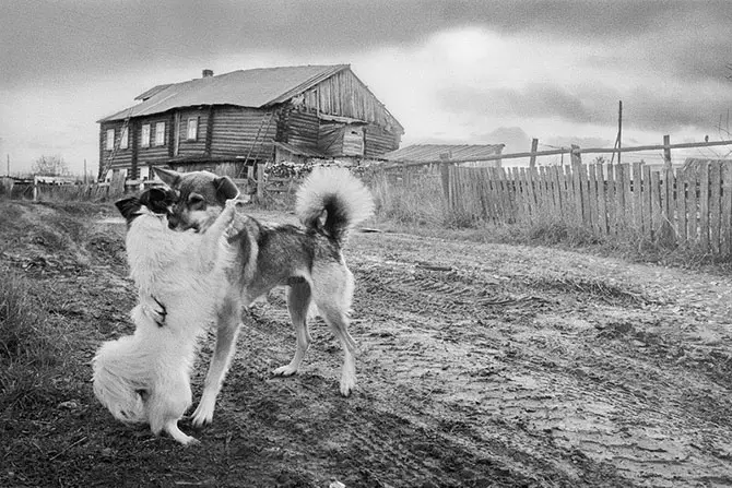 Weekdagen van het Arkhangelsk Village