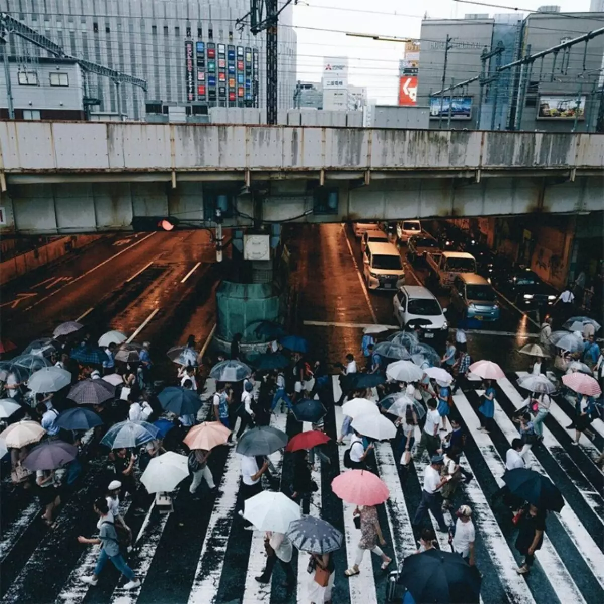 Japanese flavor in the works of Takashi Yasui (Takashi Yasui) 11842_9