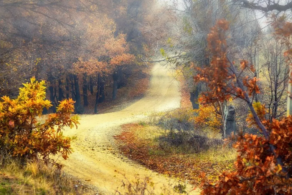 Outono em romania ... foto pitoresca chorando;)) 11875_10