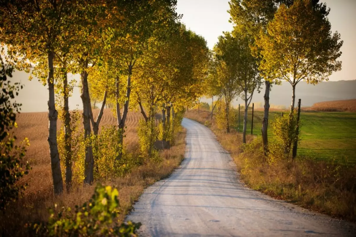 Outono em romania ... foto pitoresca chorando;)) 11875_13