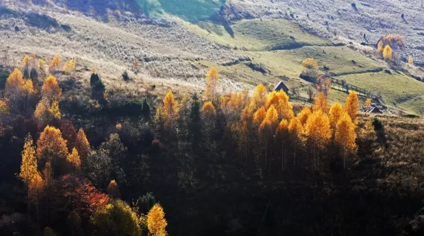 Outono em romania ... foto pitoresca chorando;)) 11875_15