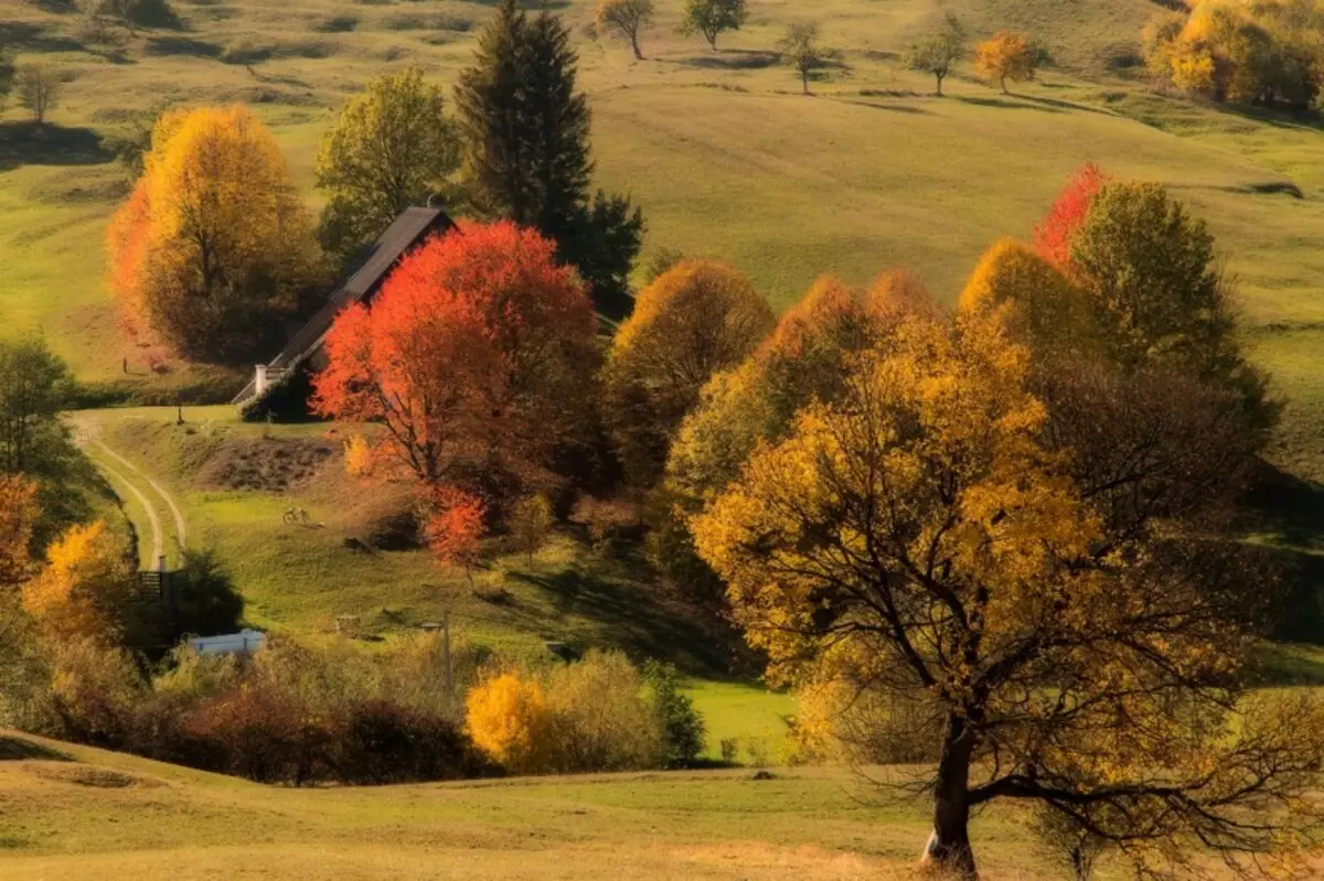 Outono em romania ... foto pitoresca chorando;)) 11875_17