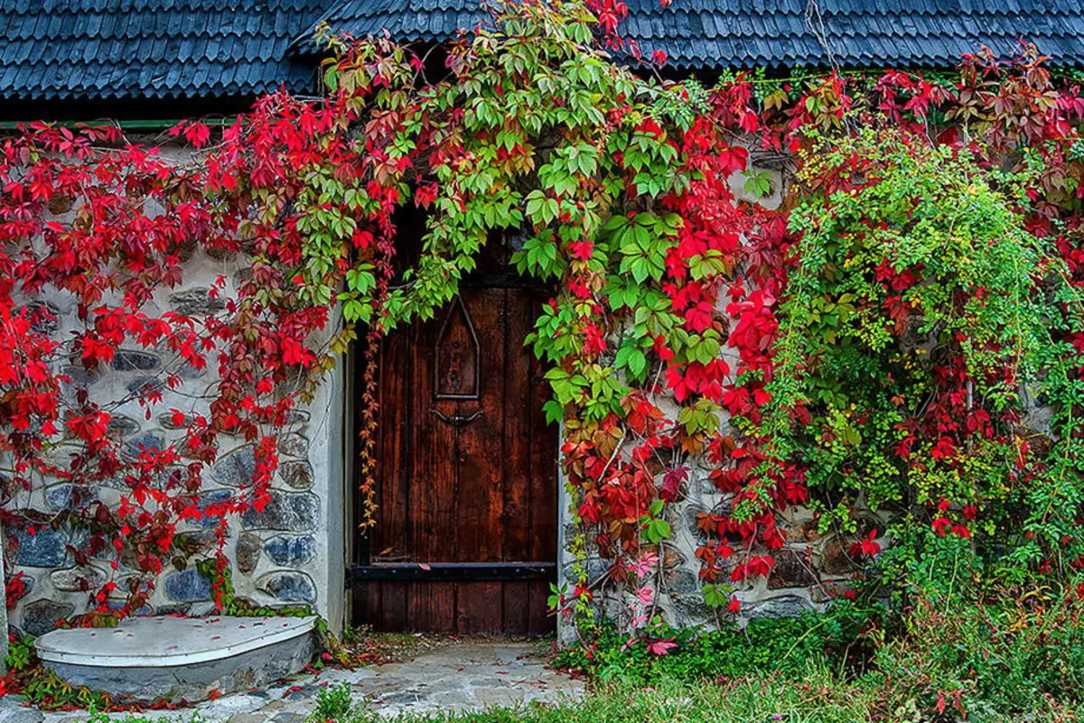 Outono em romania ... foto pitoresca chorando;)) 11875_23