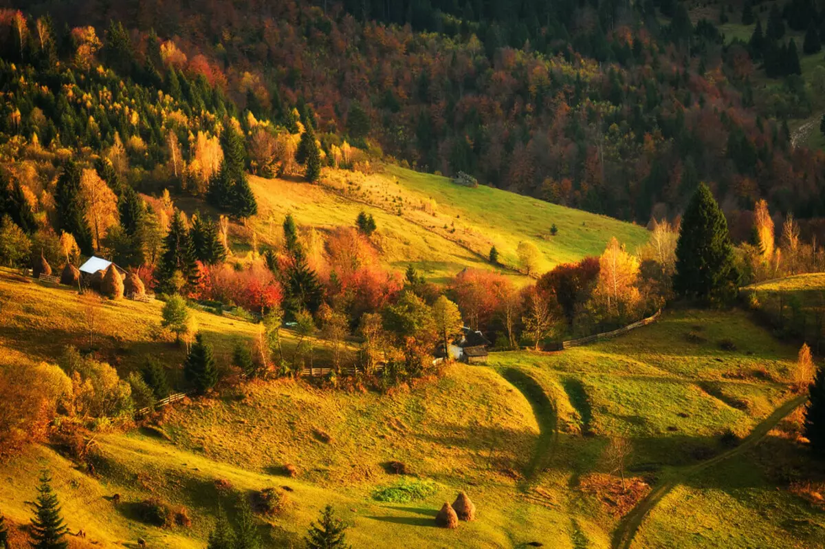 Outono em romania ... foto pitoresca chorando;)) 11875_24