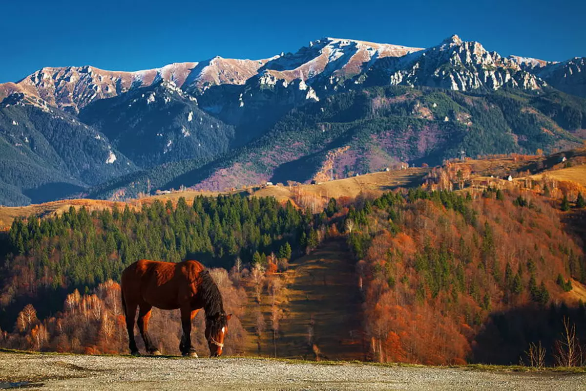 Outono em romania ... foto pitoresca chorando;)) 11875_26