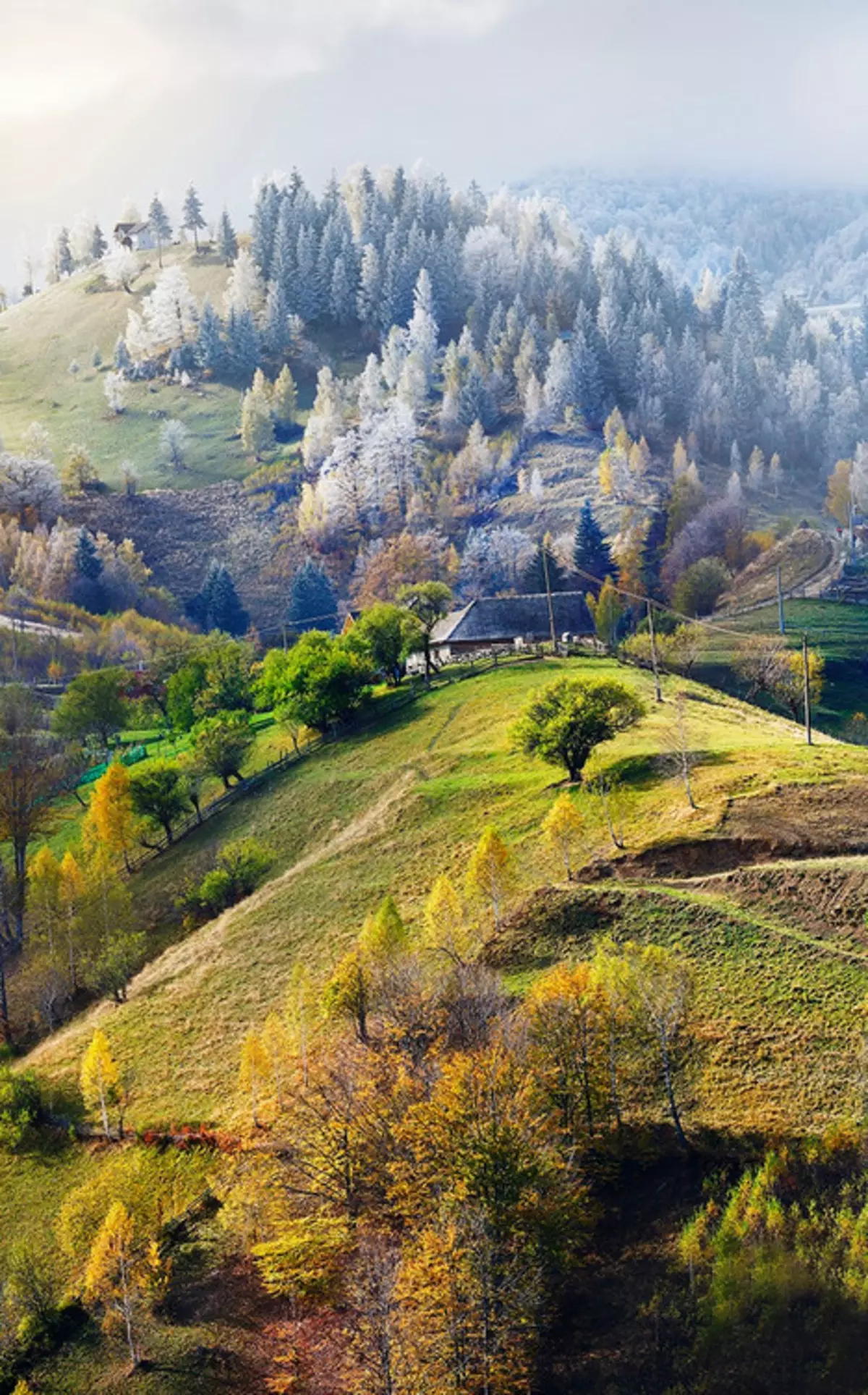 Outono em romania ... foto pitoresca chorando;)) 11875_27