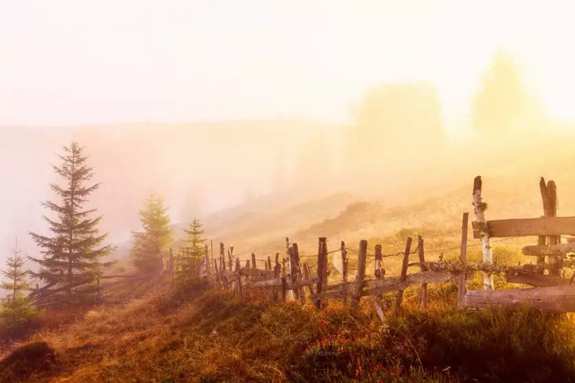 Outono em romania ... foto pitoresca chorando;)) 11875_5