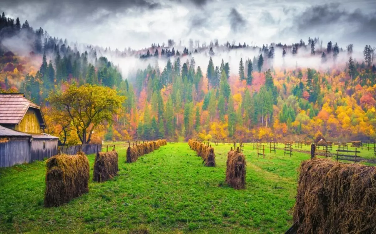 Outono em romania ... foto pitoresca chorando;)) 11875_8