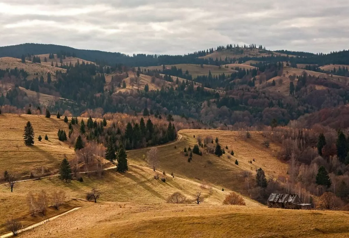 Outono em romania ... foto pitoresca chorando;)) 11875_9