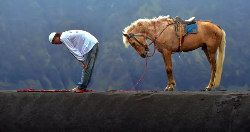 ಗ್ರೇಸ್, ಸಾಮರ್ಥ್ಯ ಮತ್ತು ಸೌಂದರ್ಯ ... ಕುದುರೆಗಳ 30 ಆದರ್ಶ ಫೋಟೋಗಳು;) 11907_10