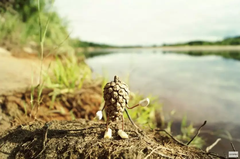 I-Adventures ye-Pine Cone ... I-Viforgrapher Victor Kvassos 11941_11