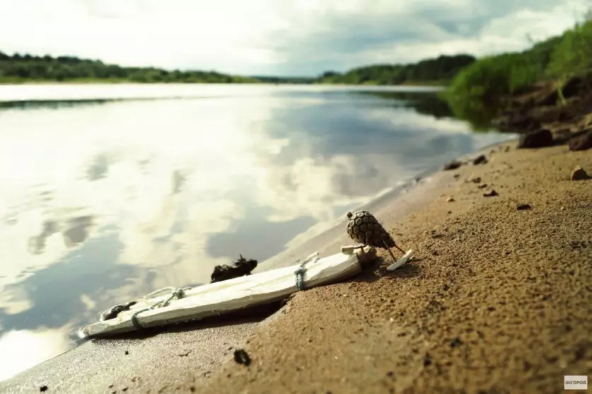 I-Adventures ye-Pine Cone ... I-Viforgrapher Victor Kvassos 11941_12